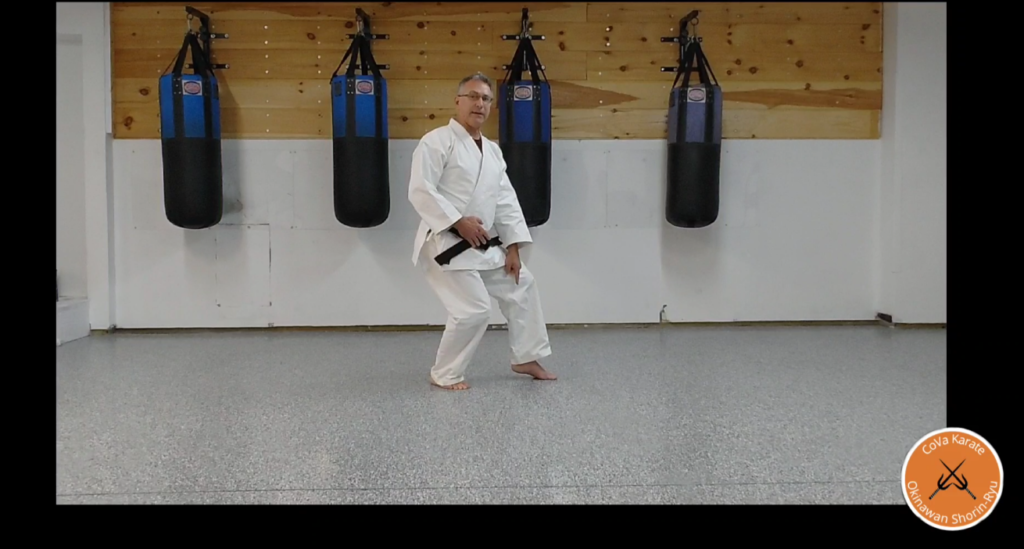 Cat Stance » Va. Beach Martial Arts